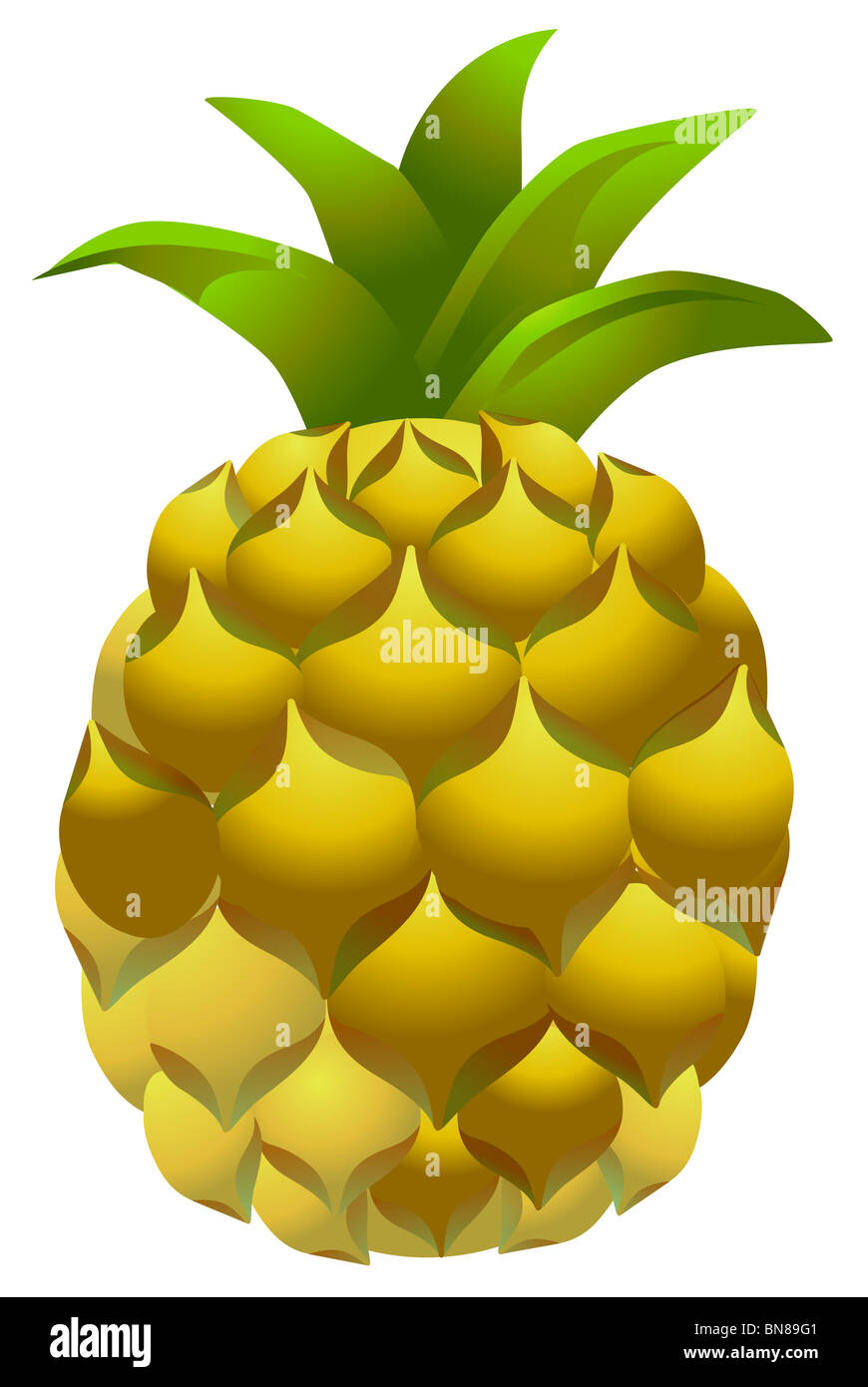 illustration drawing of a pineapple isolate in white background Stock ...