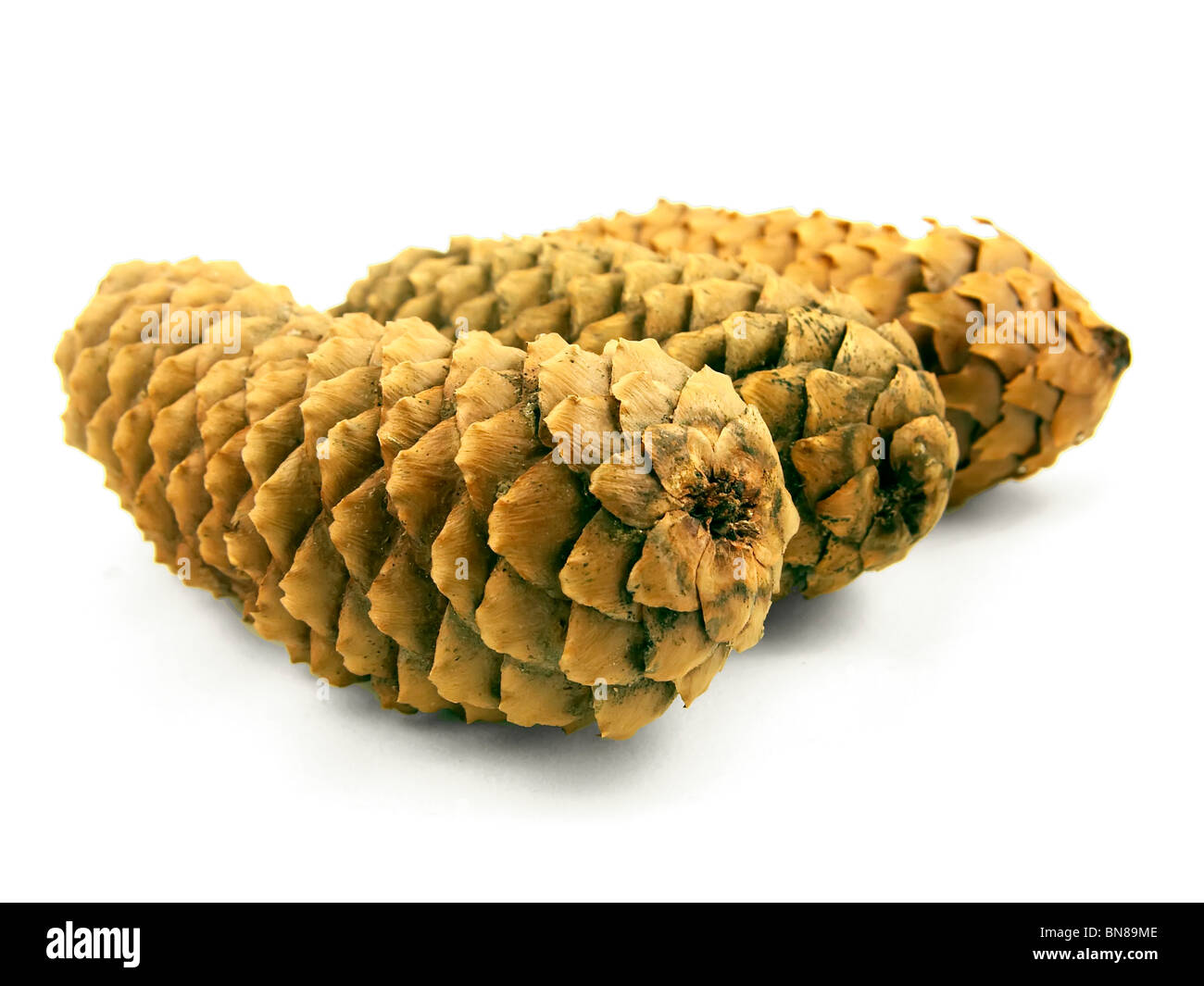 Three long cones isolated on white Stock Photo - Alamy
