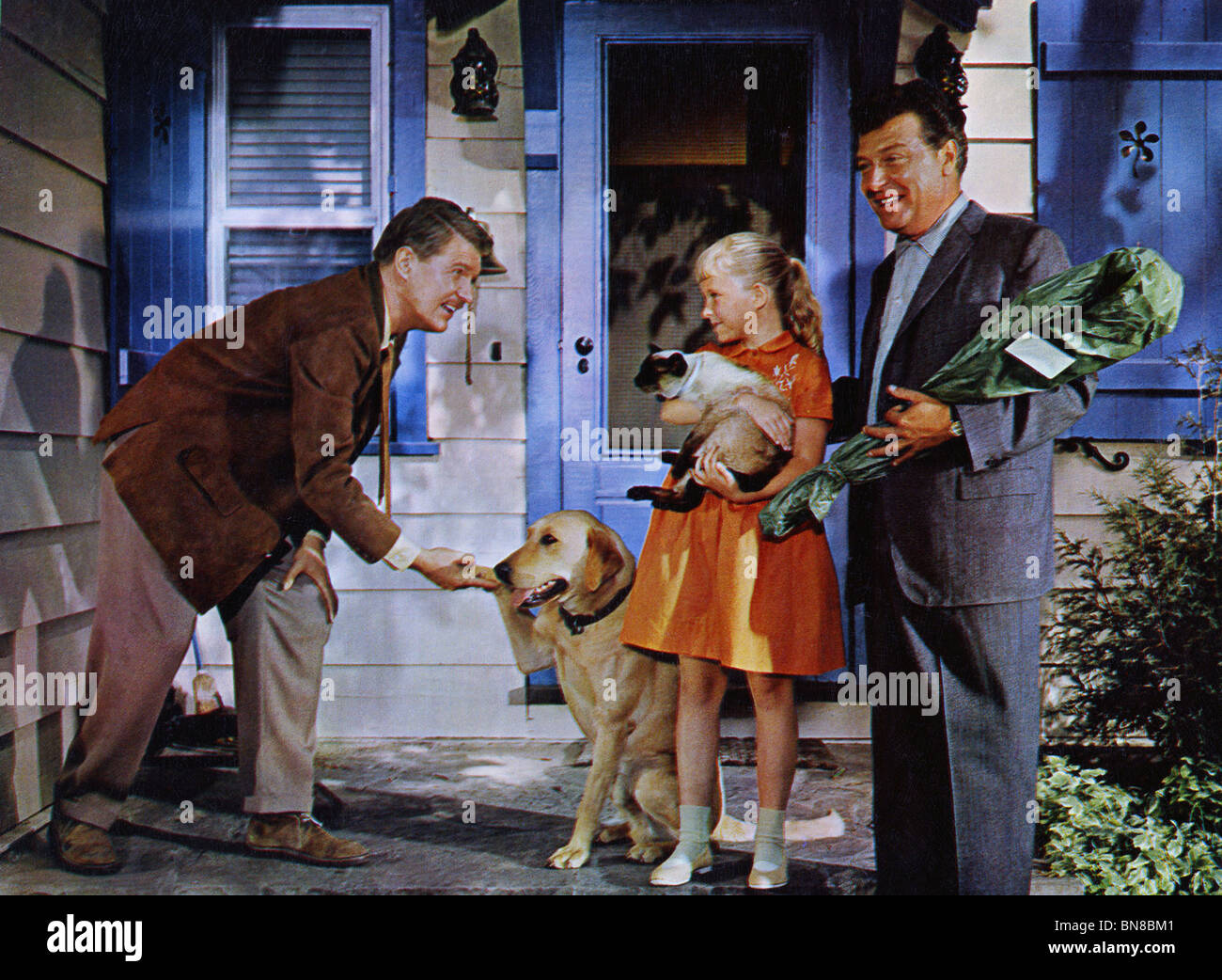 Incredible journey 1963 hi-res stock photography and images - Alamy