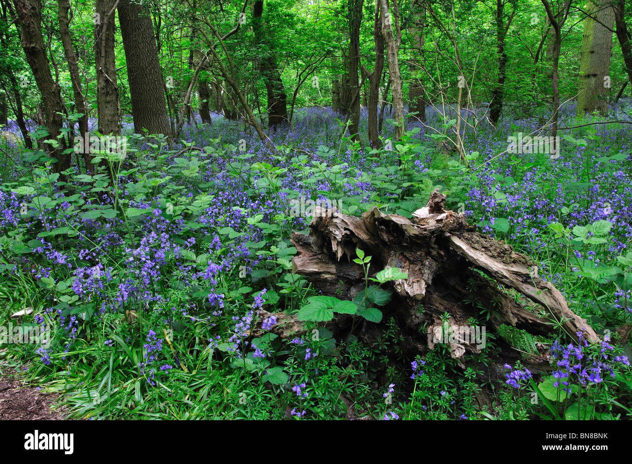 Hagourne hi-res stock photography and images - Alamy