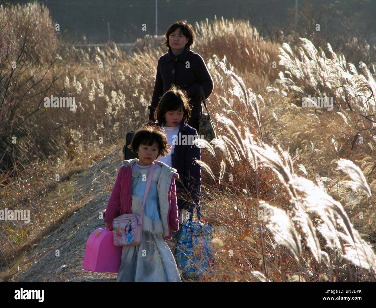 So yong kim so yong kim hi-res stock photography and images - Alamy
