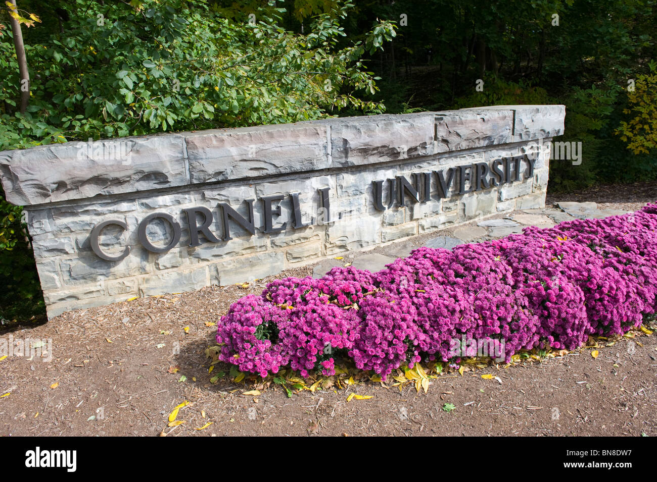 Cornell University Campus Ithaca New York Finger Lakes Region Stock ...