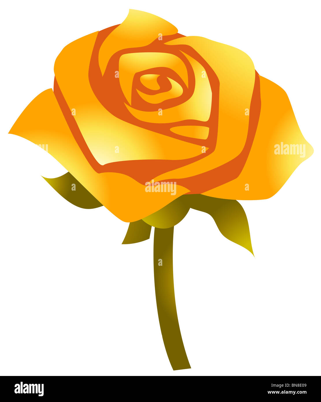 illustration drawing of yellow flower isolate in white background Stock ...