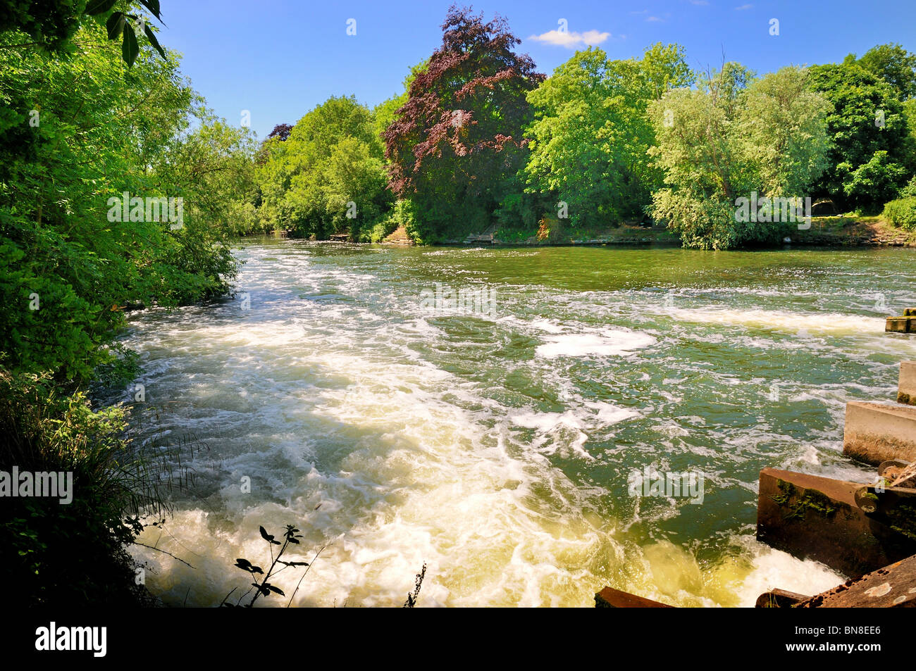 River Thames at Laleham Middlesex Stock Photo - Alamy