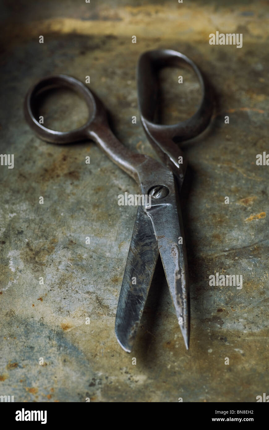Old rusty tailor's pair of scissors Stock Photo - Alamy
