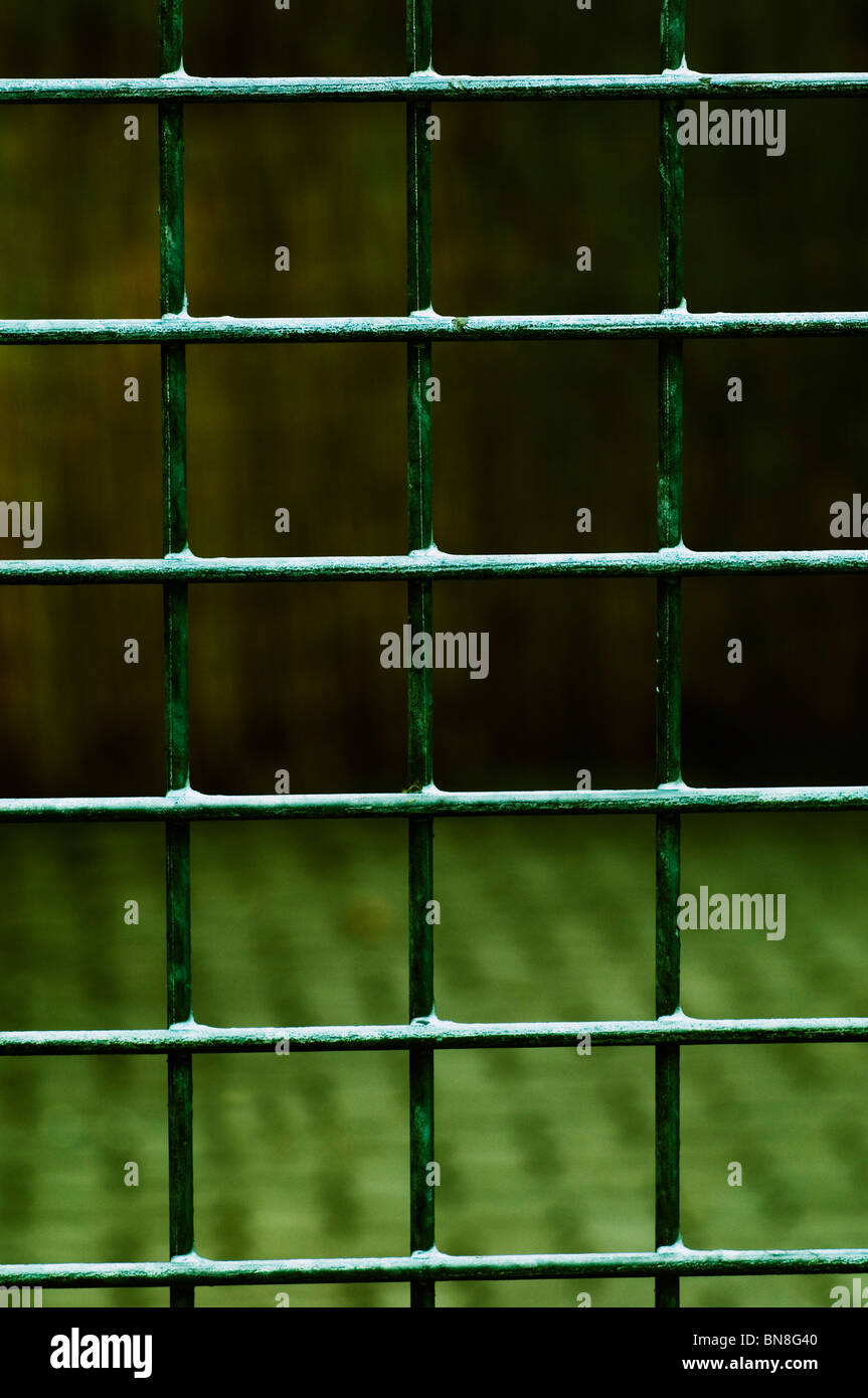Closeup of a prison gate Stock Photo - Alamy