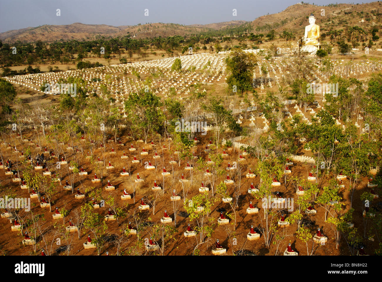 Banyan burma tree hi-res stock photography and images - Alamy