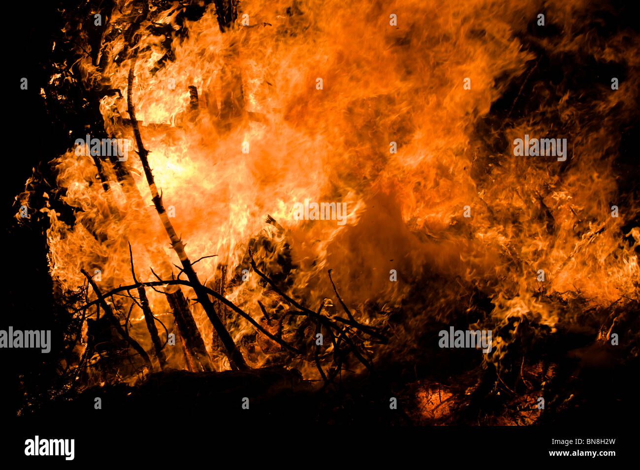 Closeup blazing fire dry forest hi-res stock photography and images - Alamy
