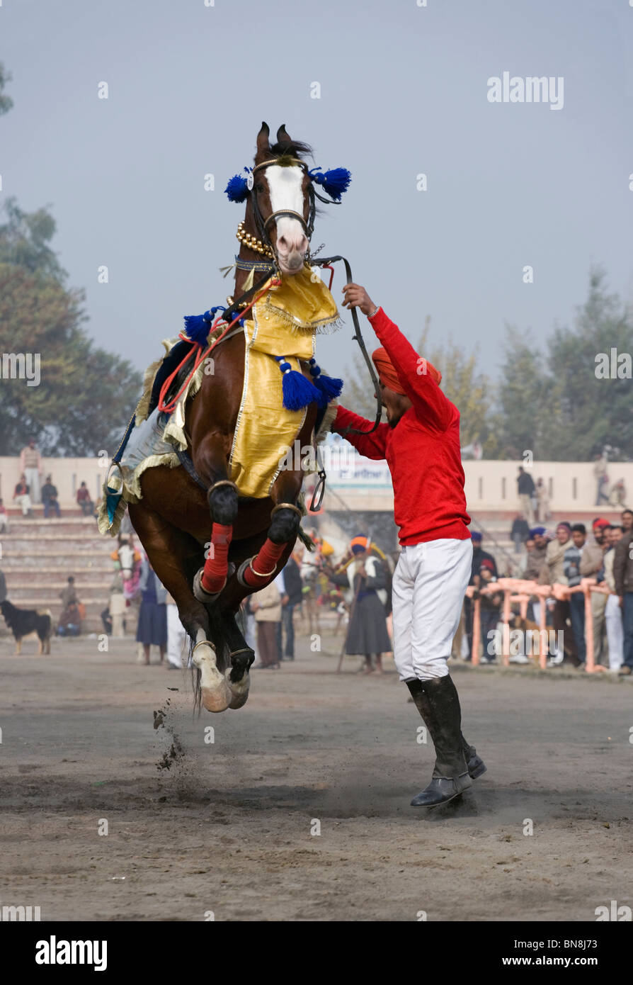 Muktsar India Maghi Mela Punjab Horse Dance Fair Stock Photo - Alamy