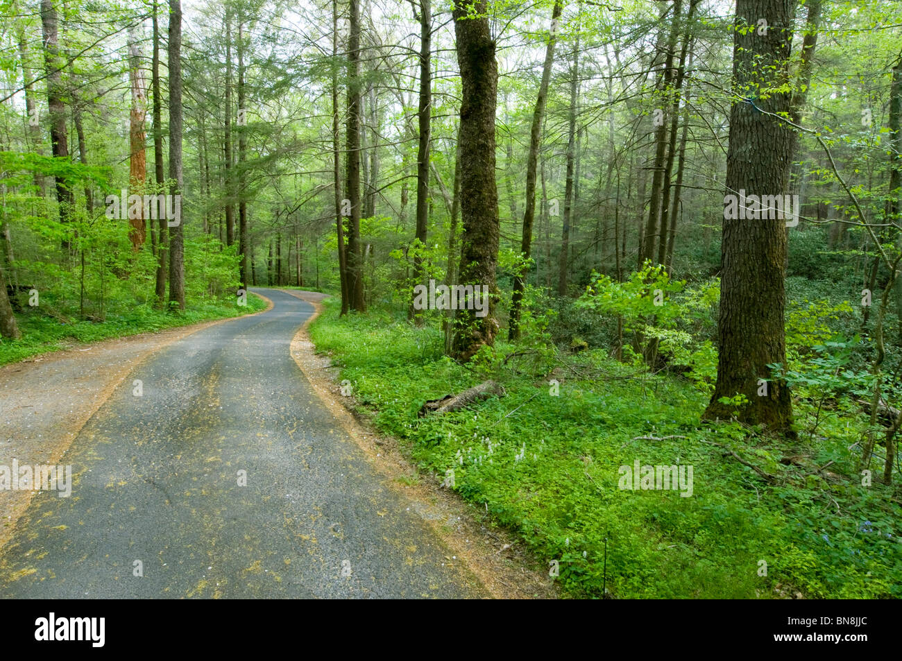 Cades cove loop road hi-res stock photography and images - Alamy