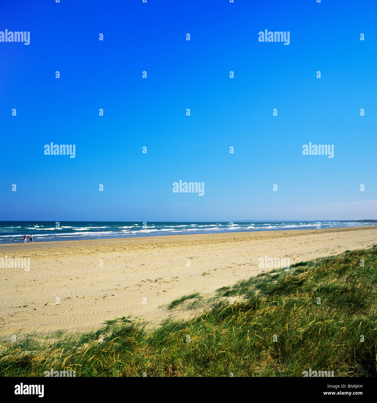 BEACH BETTYSTOWN COUNTY MEATH IRELAND Stock Photo - Alamy