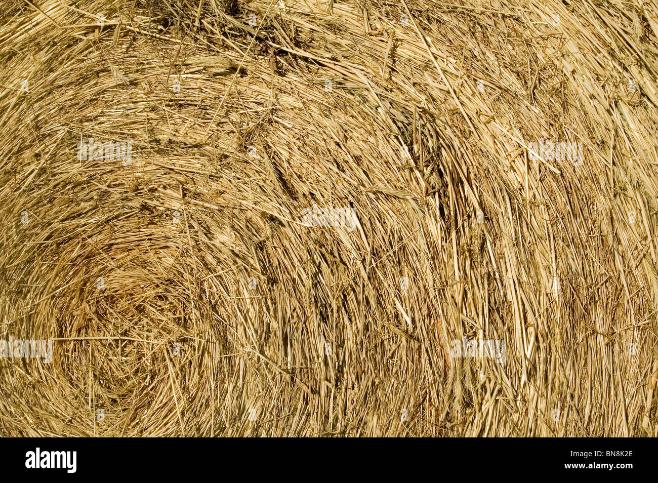 Close up of a hay bale, background texture Stock Photo - Alamy