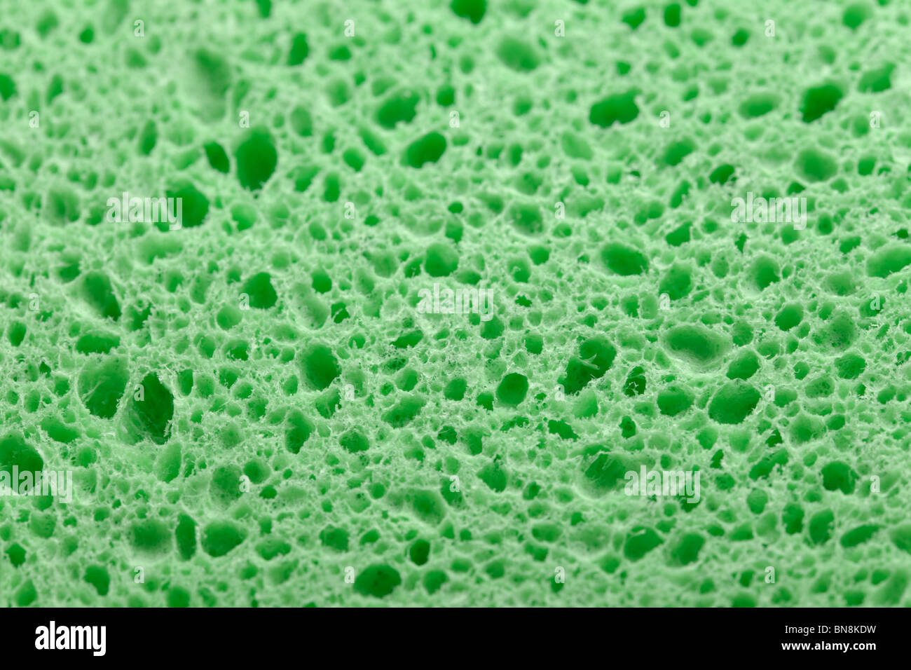 Green Sponge close up for background Stock Photo - Alamy