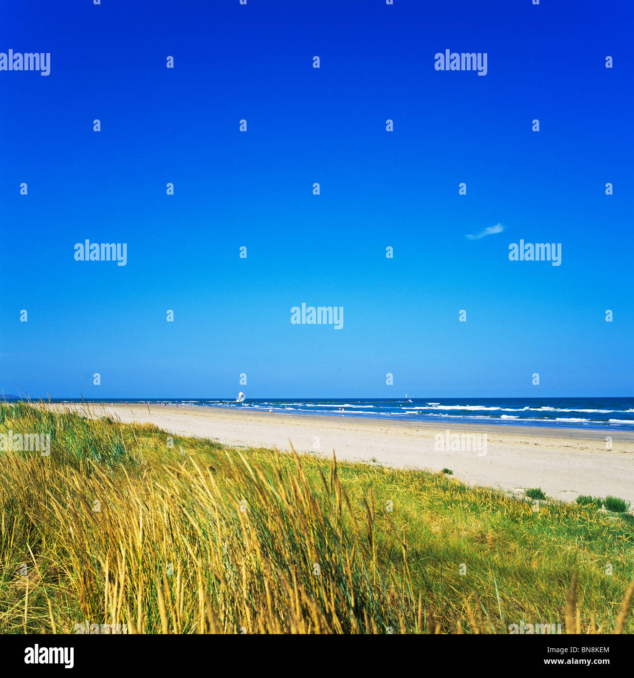 BEACH BETTYSTOWN COUNTY MEATH IRELAND Stock Photo - Alamy