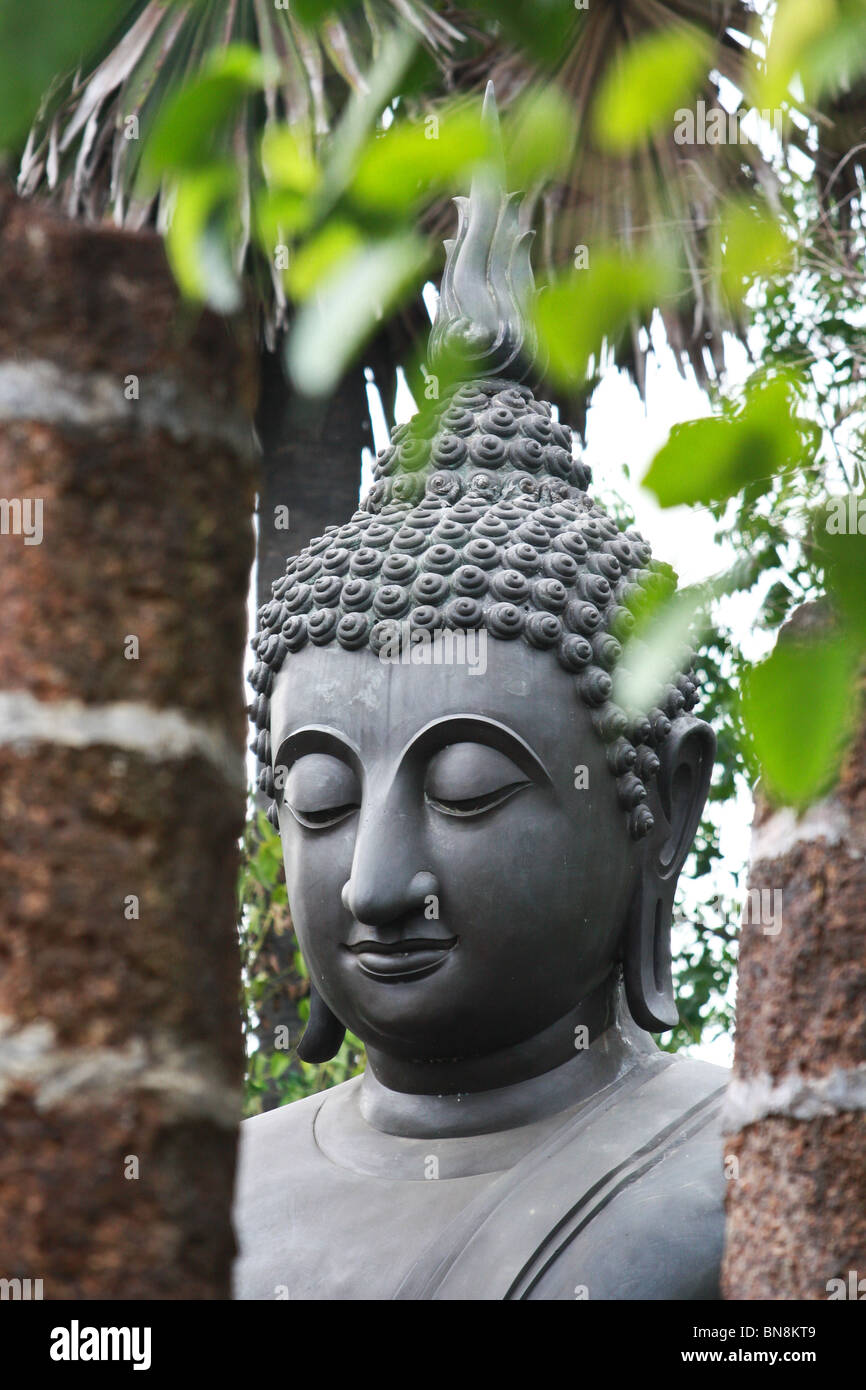 Dark Monk in the Garden Stock Photo - Alamy