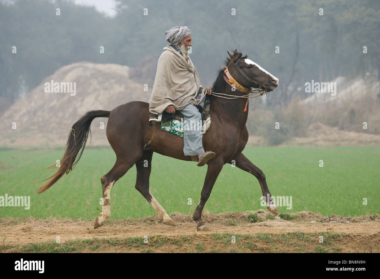 Fair Maghi Mela Punjab Mukstar India sikh horse Stock Photo - Alamy