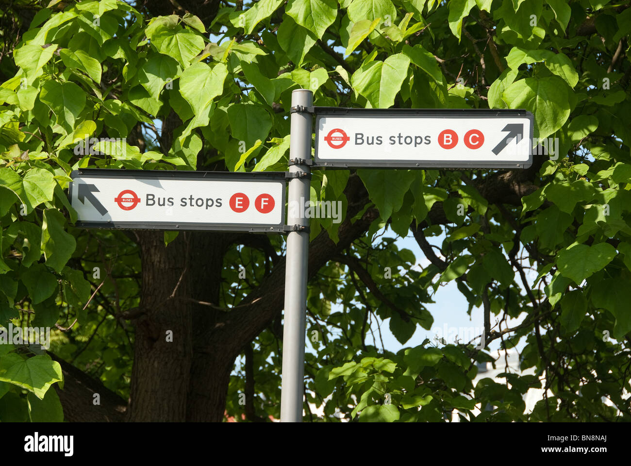 Bus stop signs Stock Photo - Alamy