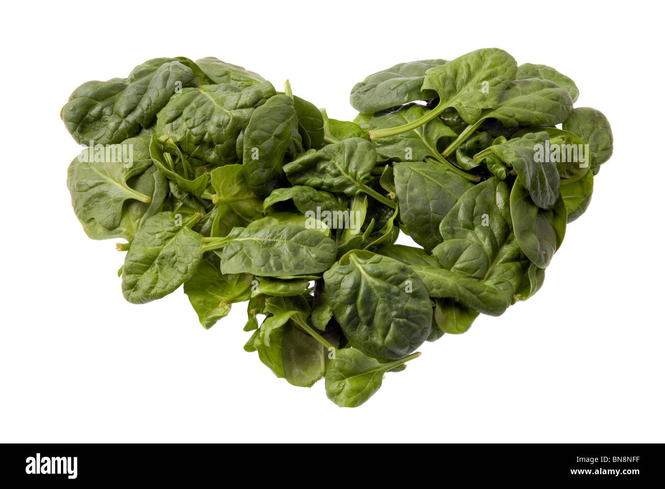 A heart of spinach isolated against a white background Stock Photo - Alamy