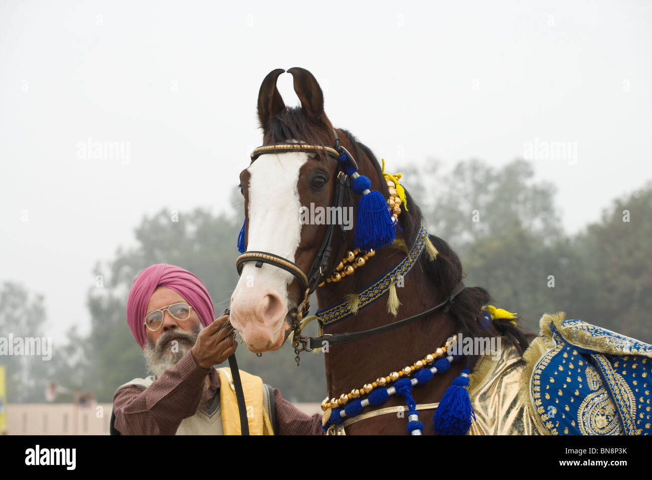 Fair Maghi Mela Punjab Mukstar India sikh horse Stock Photo - Alamy