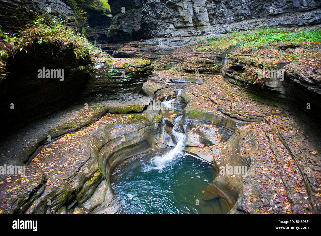 Glen of Pools Watkins Glen State Park Finger Lakes Region New York Lake ...