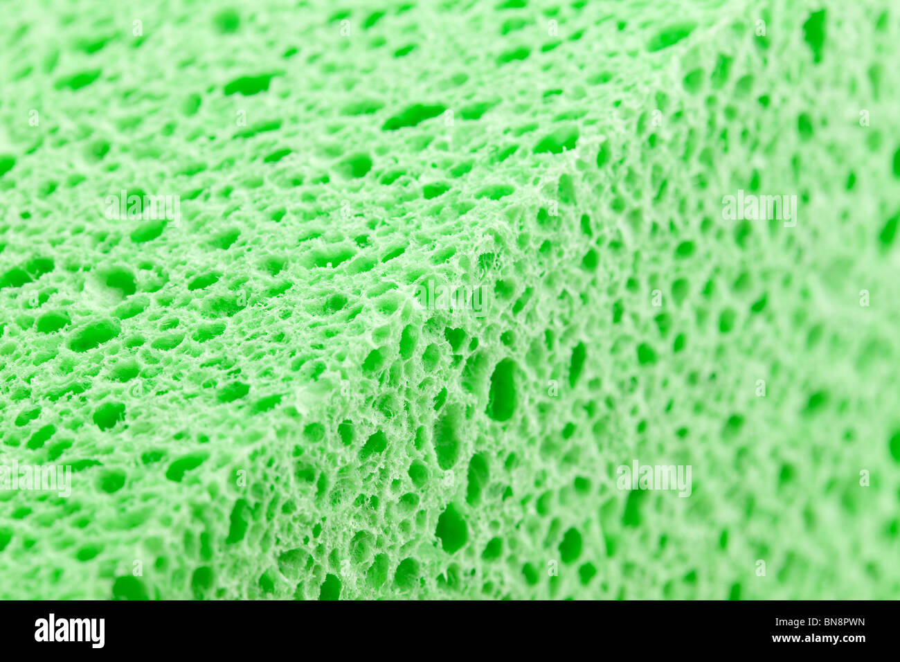 Green Sponge close up for background Stock Photo - Alamy