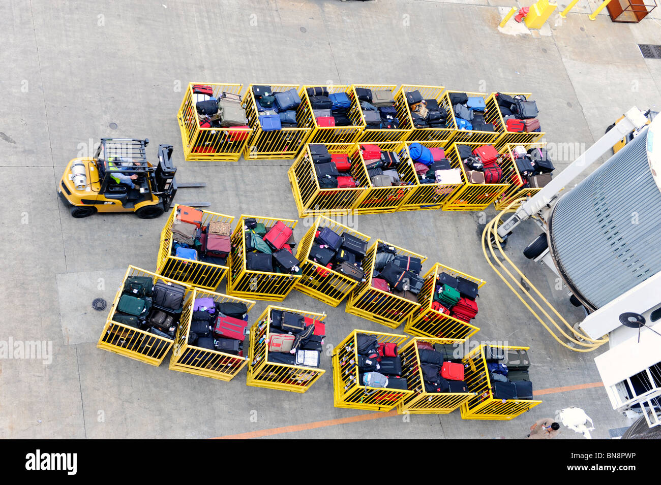Luggage being loaded onto cruise ship Tampa Bay Florida Stock Photo - Alamy