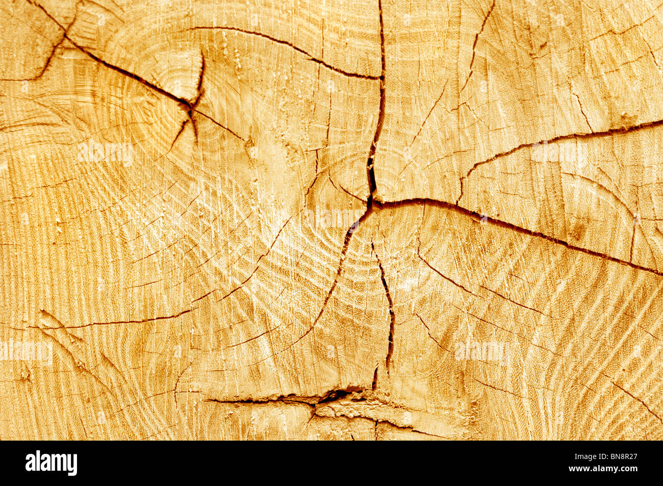 Cut log, woodgrain background texture Stock Photo - Alamy Cut log, woodgrain background texture Stock Photo - Alamy
