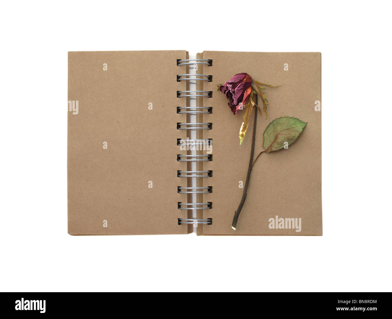 dead red rose and old style notebook Stock Photo - Alamy