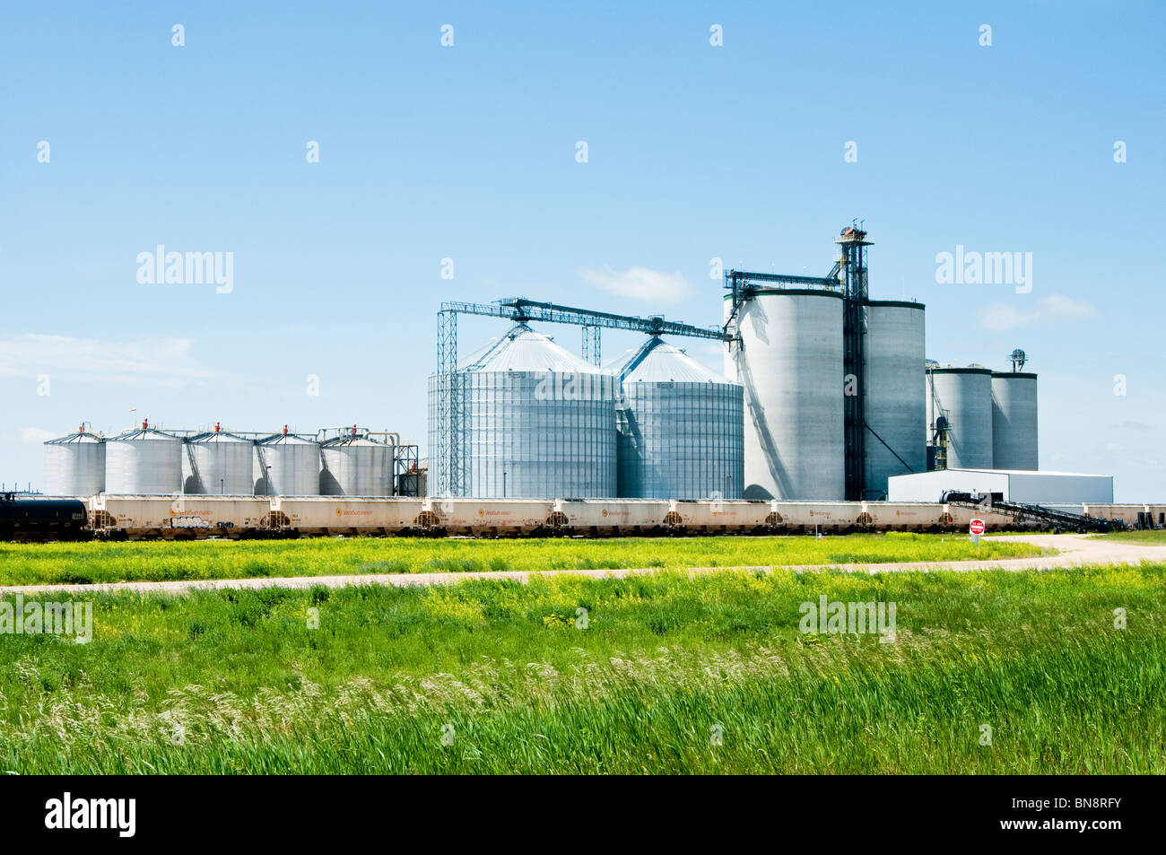 Rail cars deliver feedstock to an ethanol processing plant in South ...