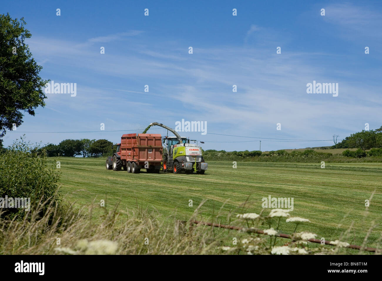 Farming Forage harvester collecting grass for silage Dorset, UK Stock ...