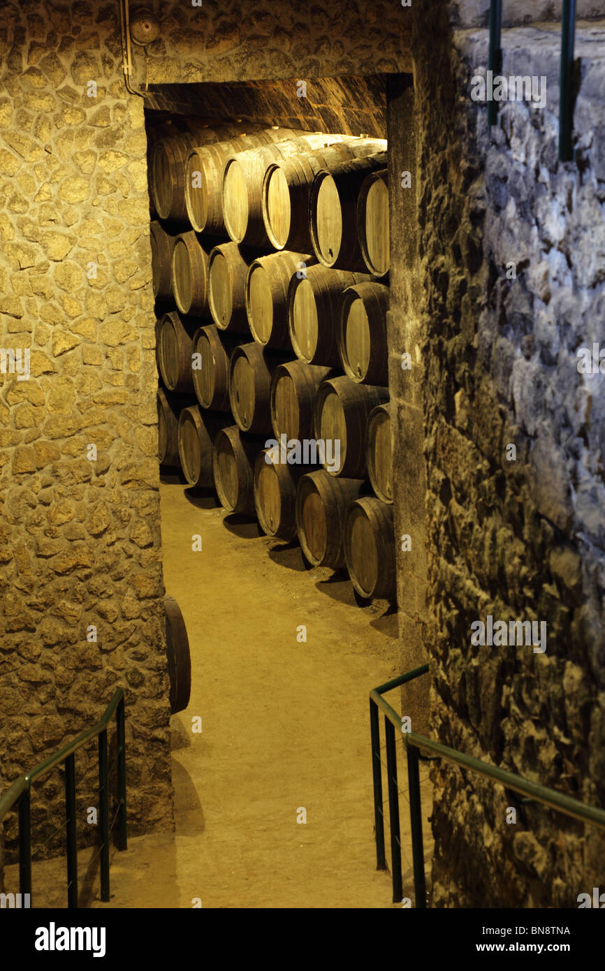 Wooden barrels in an old wine cellar Stock Photo - Alamy