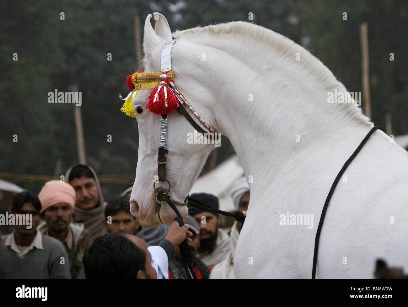 Fair Maghi Mela Punjab Mukstar India sikh horse Stock Photo - Alamy