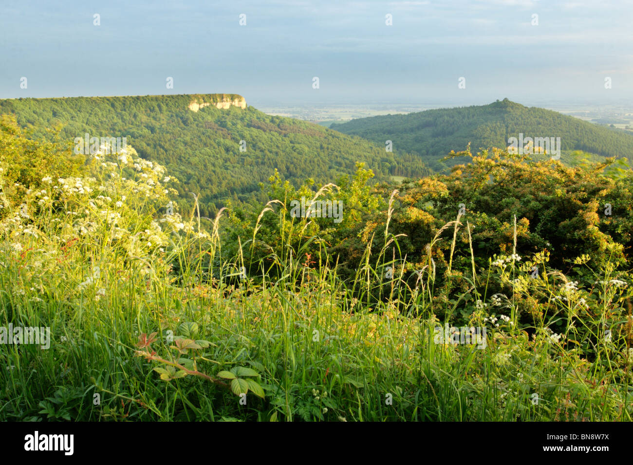 View above Sutton Bank towards Roulton Scar and Hood Hill near ...