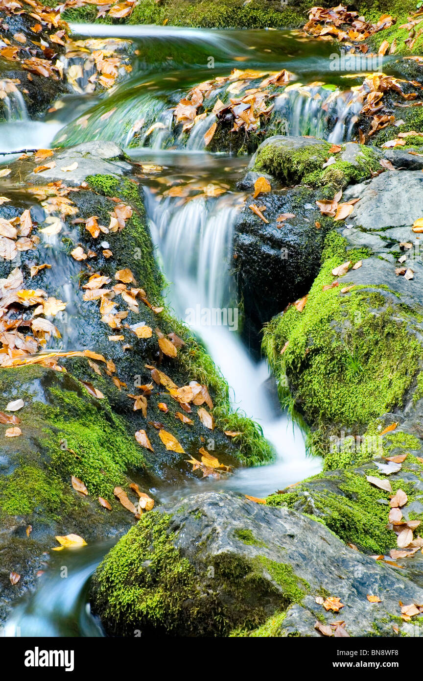 Free fall water hi-res stock photography and images - Alamy