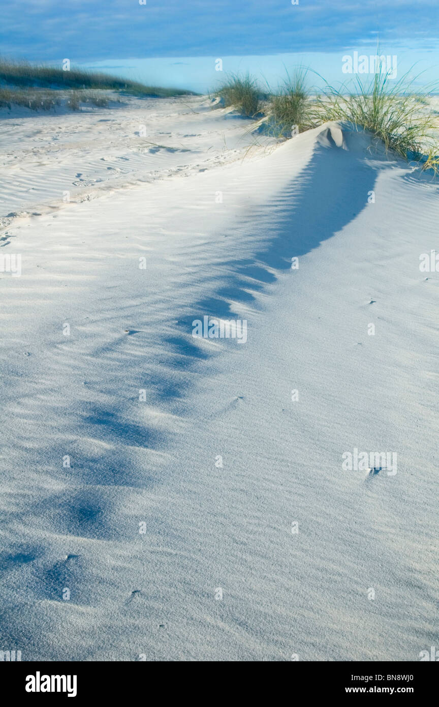 Coastal sand dunes texas hi-res stock photography and images - Alamy