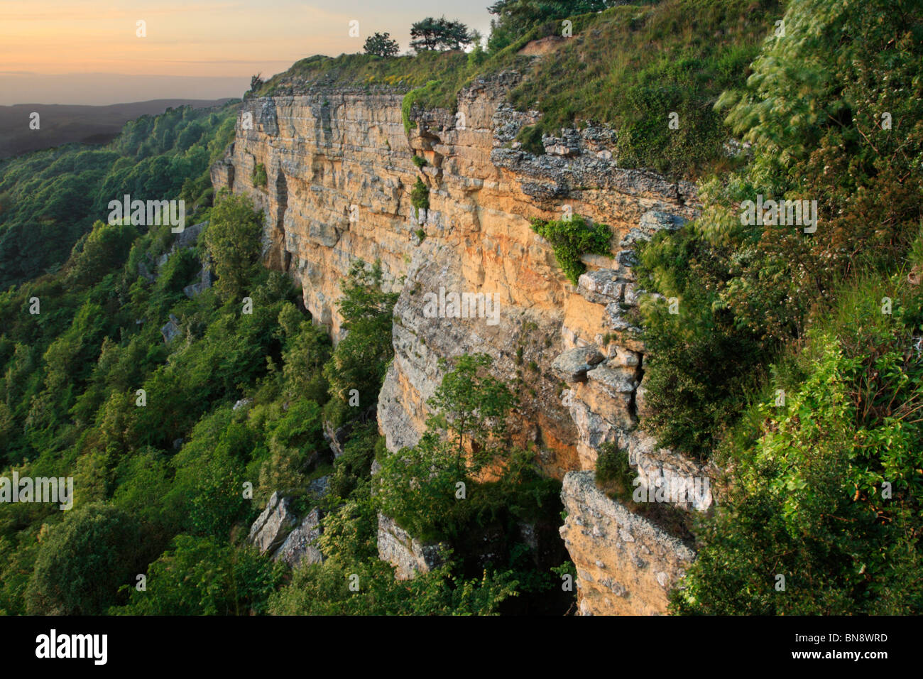 Whitestone Cliff at dusk showing details of rock layers and weathering ...