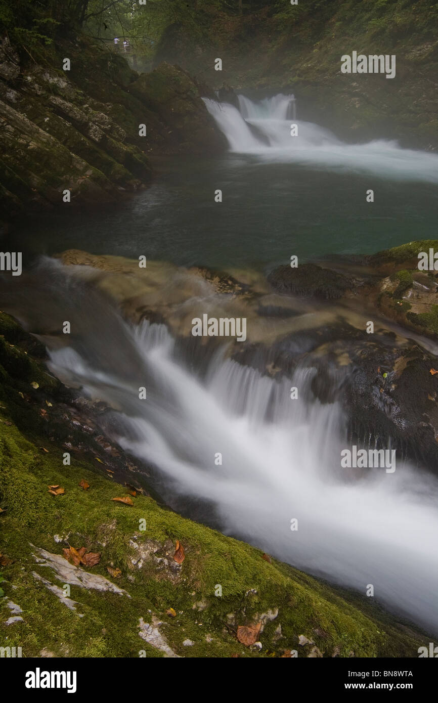Mist over a rushing stream flowing through the Vintgar gorge outside of ...