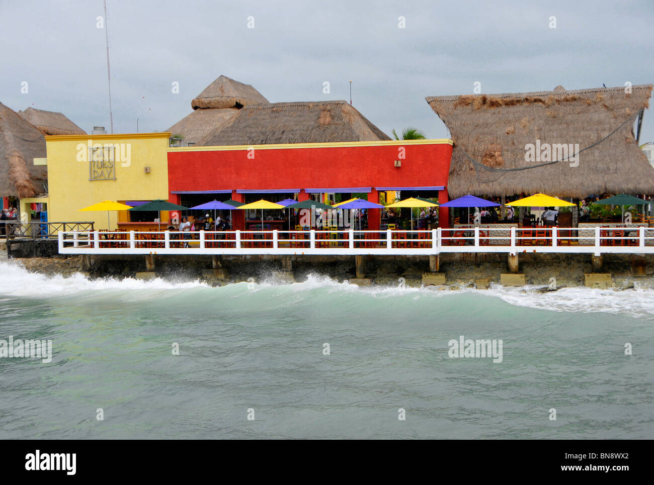 Fat Tuesday Restaurant Bar Caribbean Cruise Ship in Puerta Maya and ...