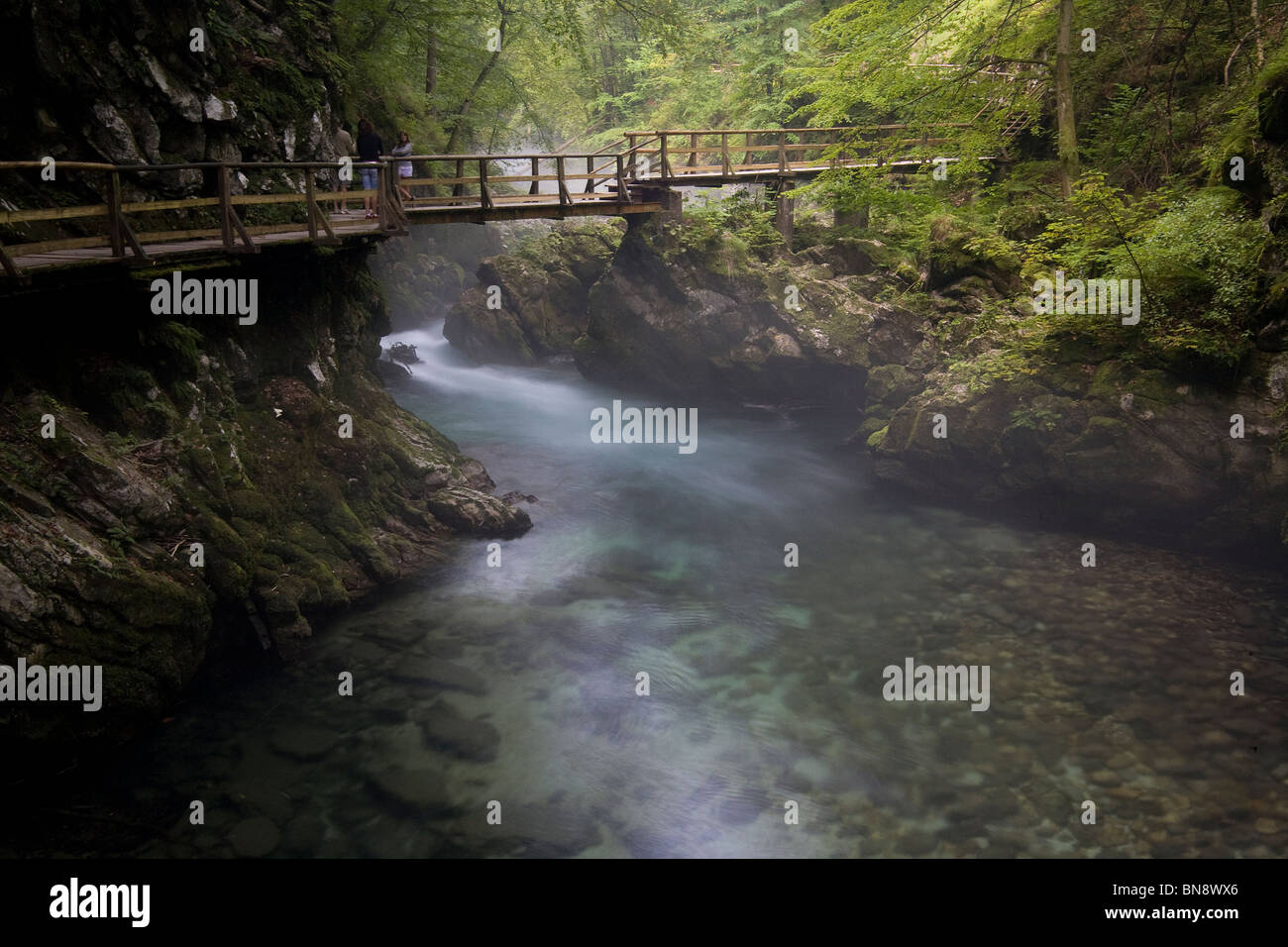 Mist over a rushing stream flowing through the Vintgar gorge outside of ...