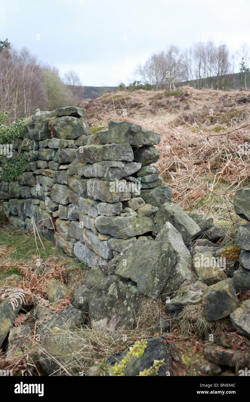Woodland, moorland and collapsing dry stone wall in Over Silton woods ...