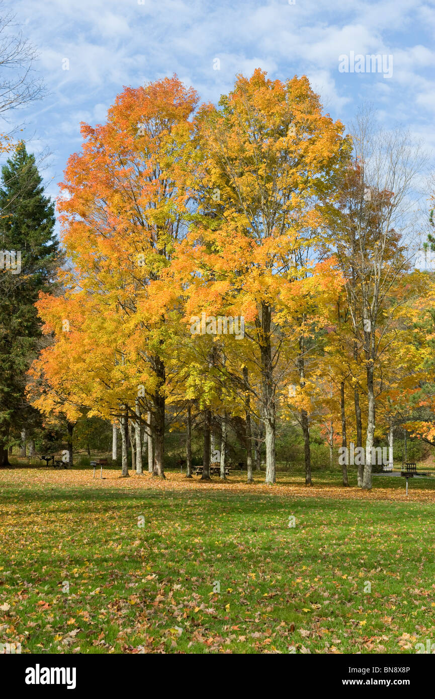 Fall Colors Missouri State Park Stock Photo - Alamy