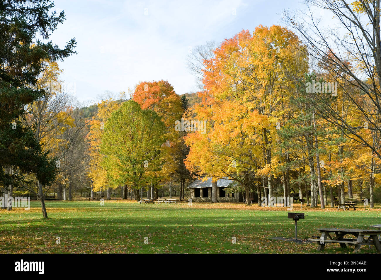 Missouri leaves leaf nature hi-res stock photography and images - Alamy
