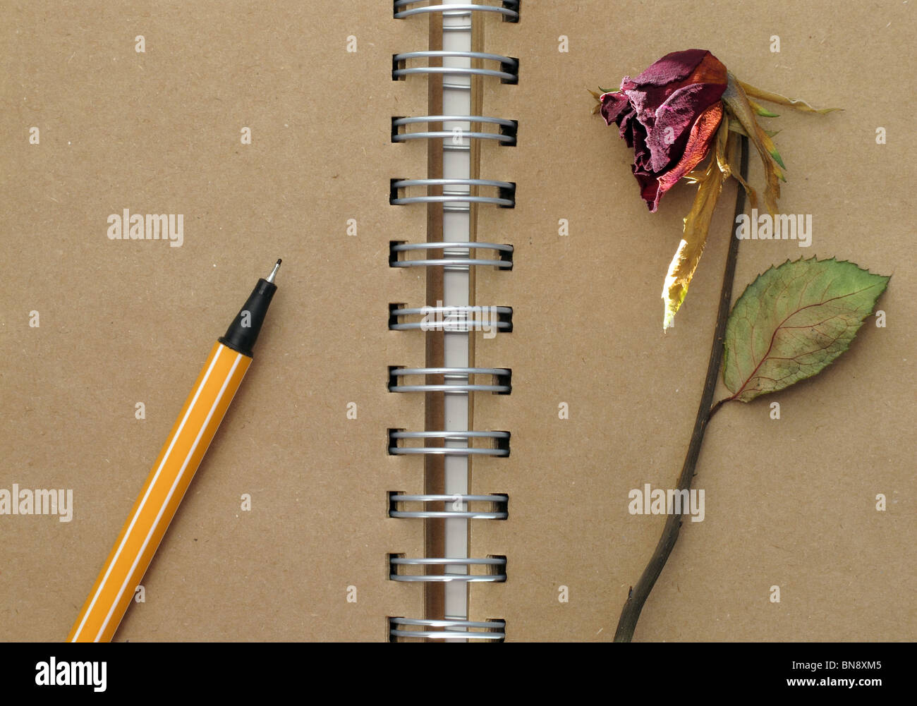 old style notebook and dead red rose Stock Photo - Alamy