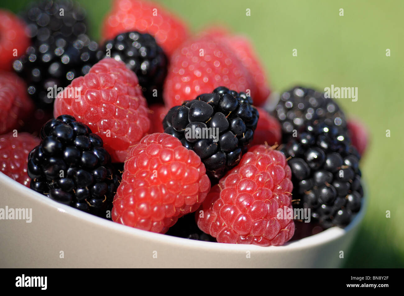 Raspberries and Blackberries Stock Photo - Alamy