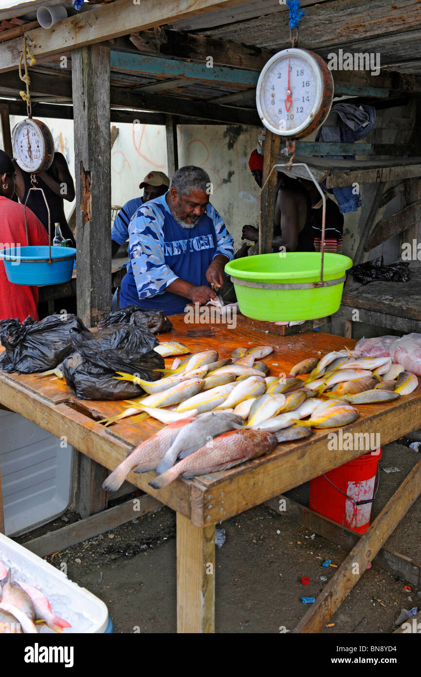 Local fish market near Caribbean Cruise ship in Belize City Belize ...