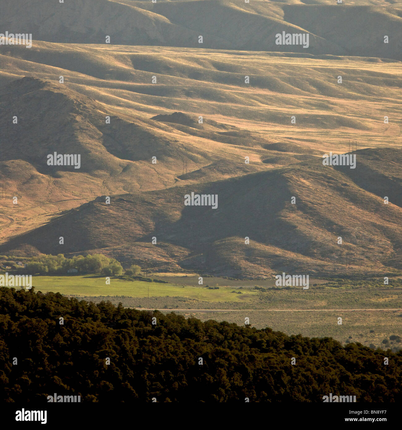 View from wheeler peak hi-res stock photography and images - Alamy