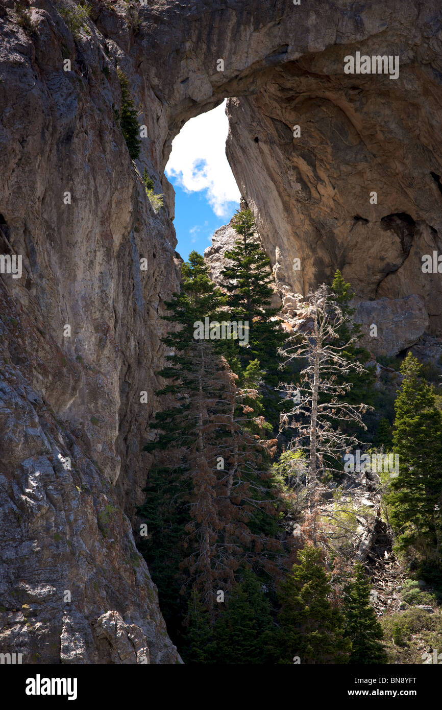 Lexington arch hi-res stock photography and images - Alamy