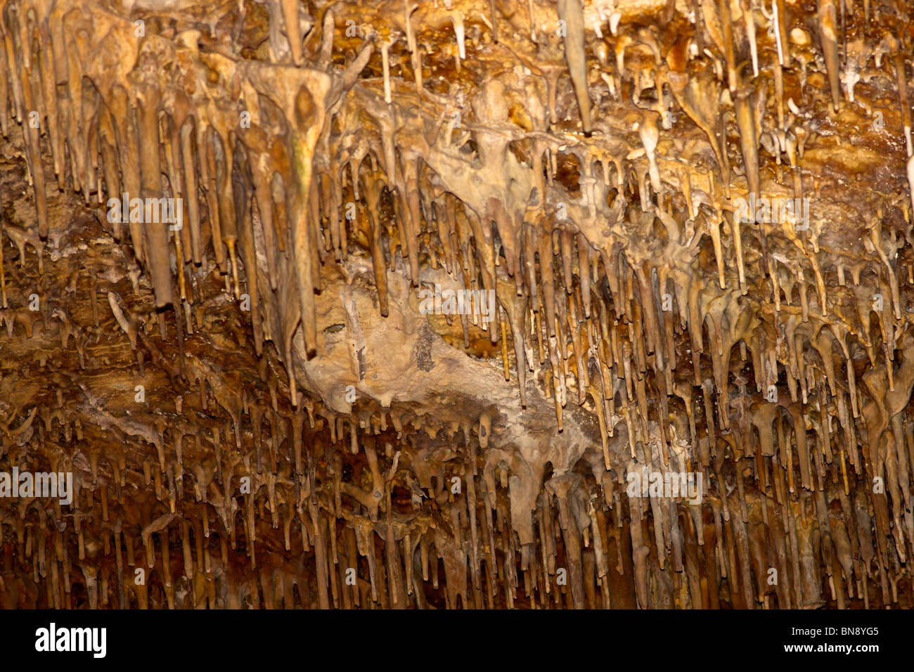 Lehman Cave is a highly ornate cave in the Great Basin National Park ...