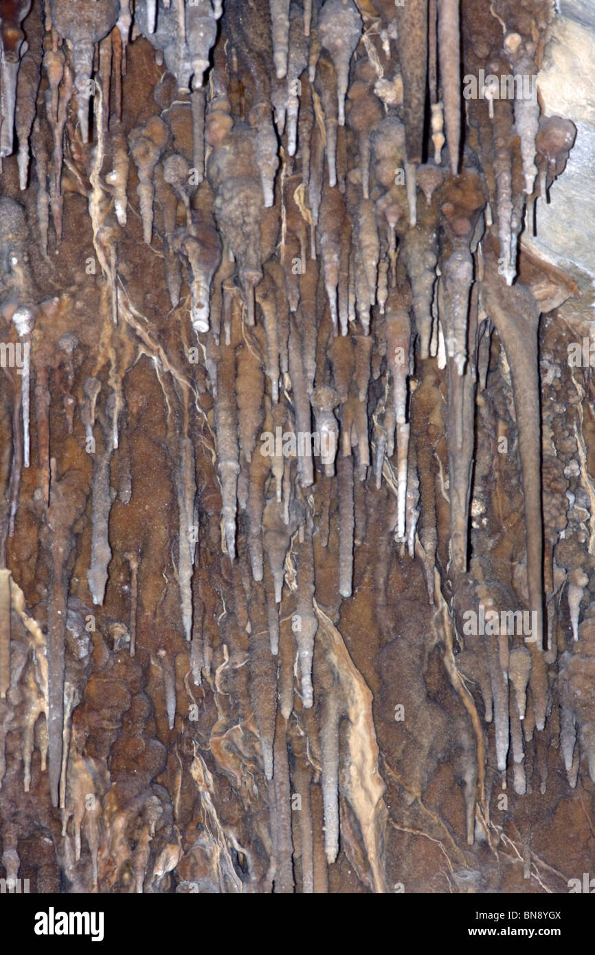 Lehman Cave is a highly ornate cave in the Great Basin National Park ...
