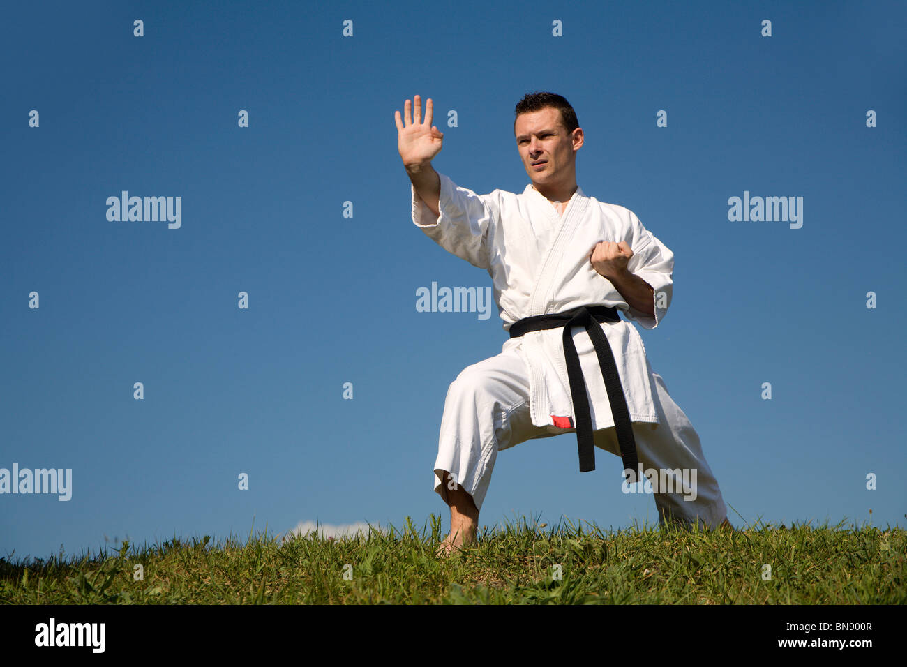 Karate champion hi-res stock photography and images - Alamy